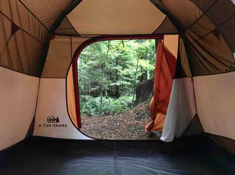 Gear Review: REI Co-op Grand Hut 4 Tent – Westward We Wander