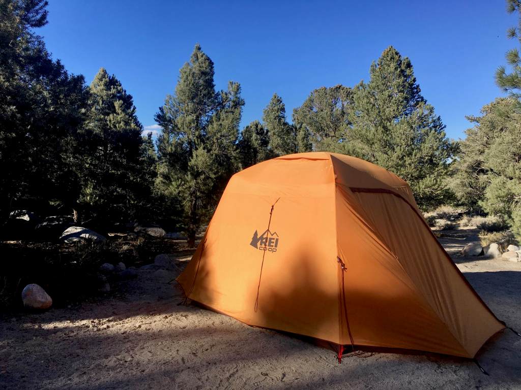 Gear Review: REI Co-op Grand Hut 4 Tent – Westward We Wander