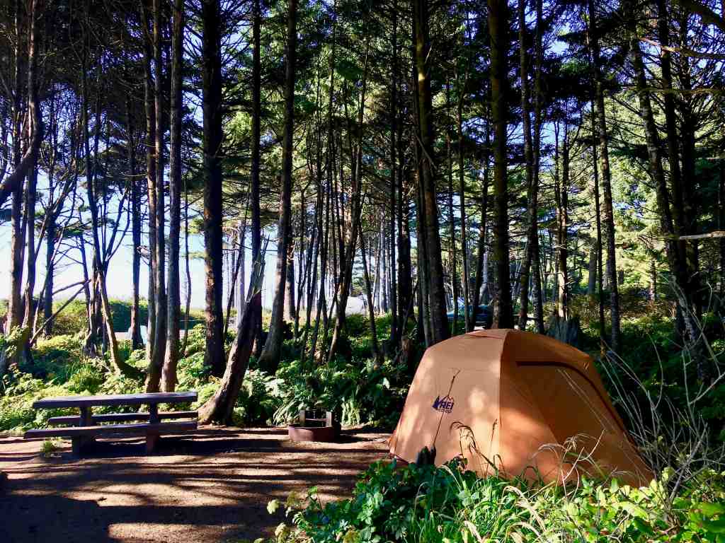 Gear Review: REI Co-op Grand Hut 4 Tent – Westward We Wander