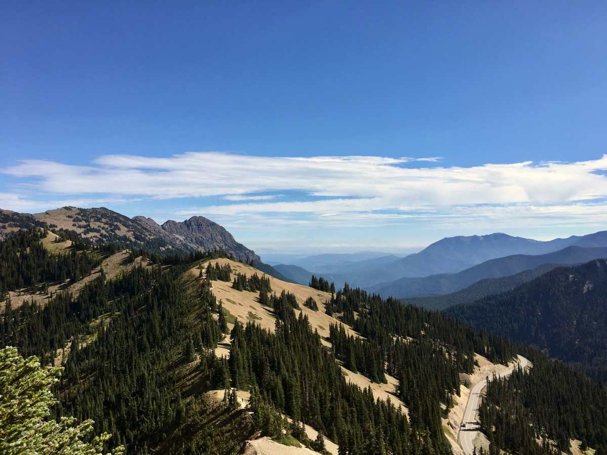 Olympic National Park – Part 4: Hurricane Ridge & Port Angeles ...