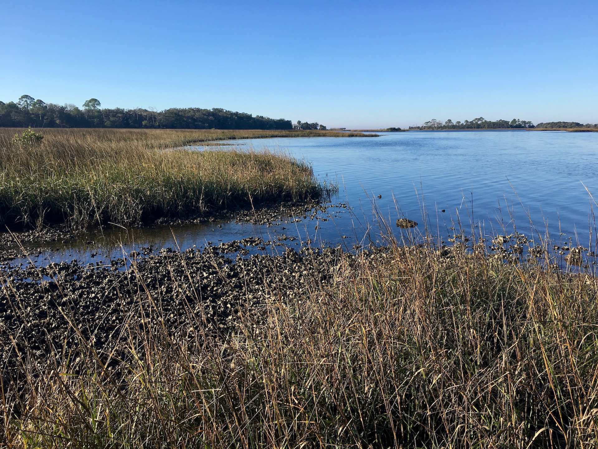 Campground Review: Shell Mound in Cedar Key, Florida – Westward We Wander