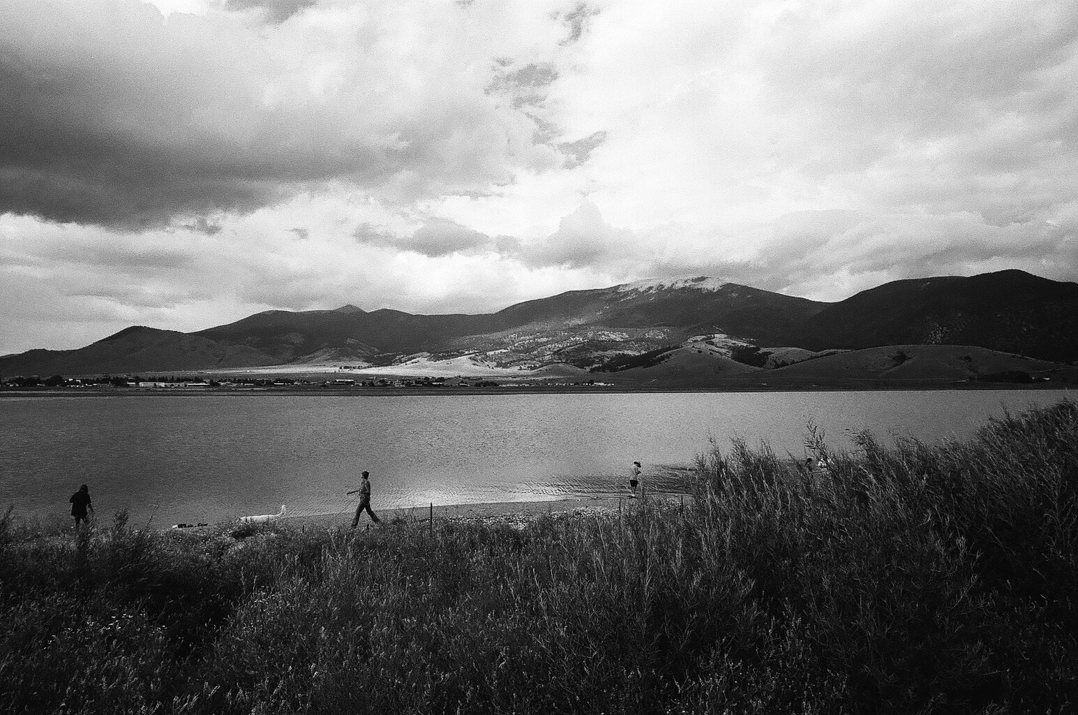 Film Photography Gallery – Westward We Wander